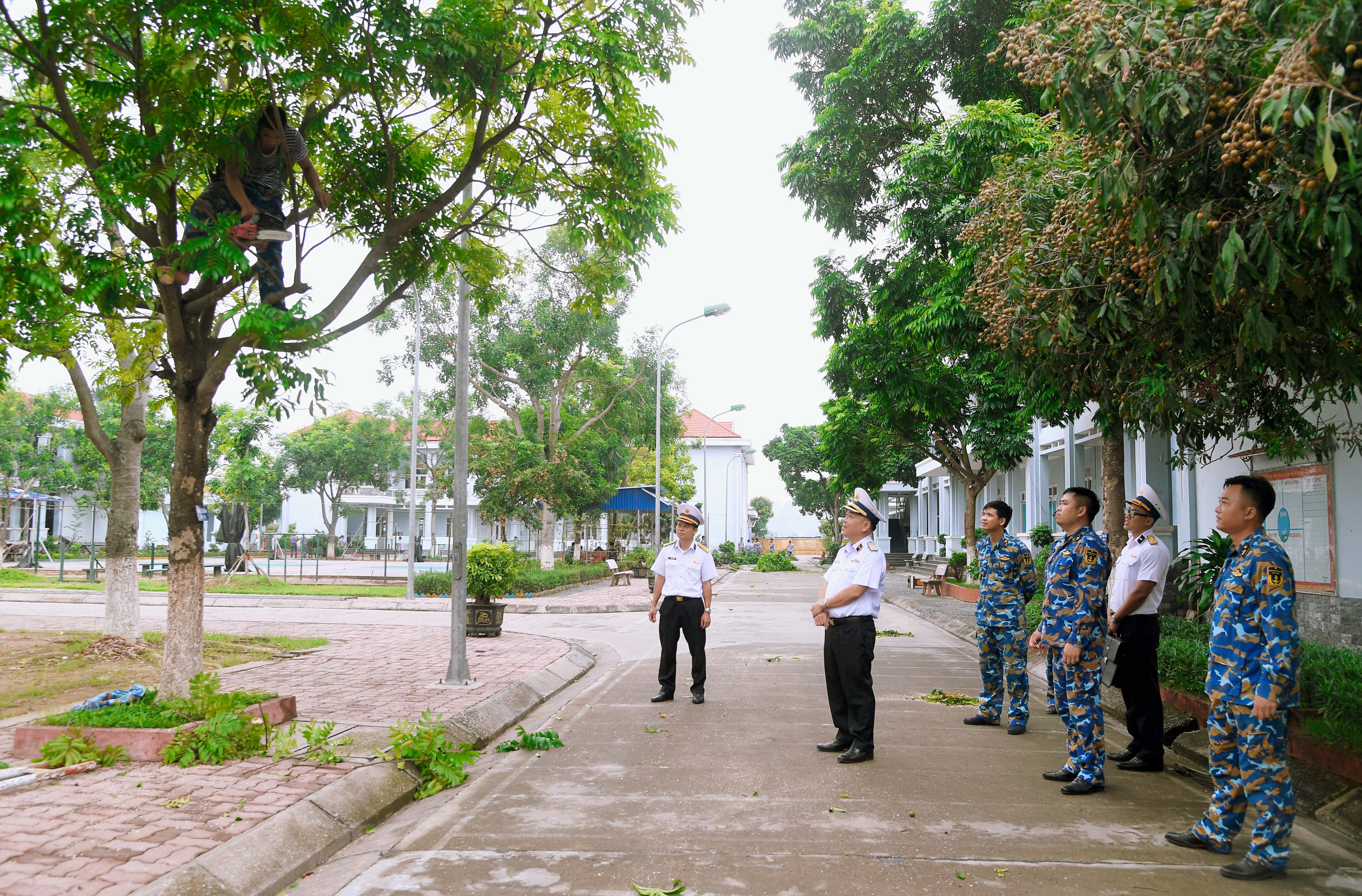 Chính uỷ Vùng 1 kiểm tra công tác phòng chống bão số 3 Wipha - Báo Hải ...